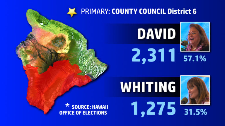 Hawaii County Council Election Results