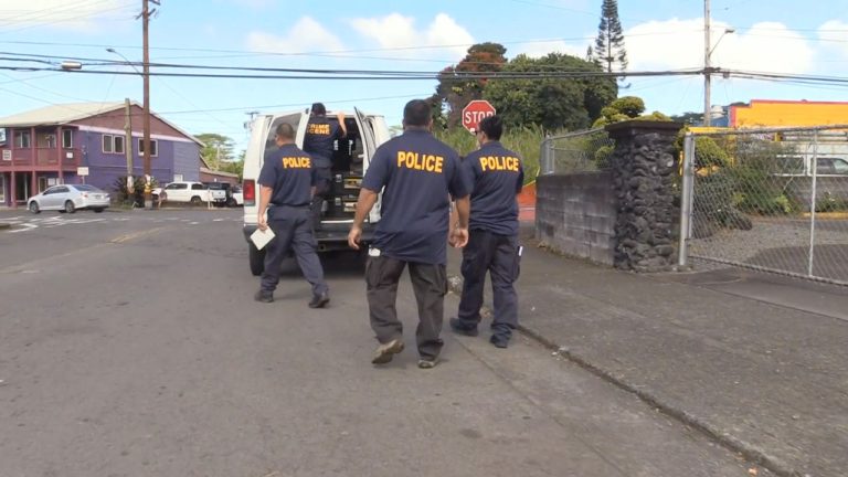 Police Seek Witnesses To Start Of Pahoa Fire Police Seek Witnesses To Start Of Pahoa Fire
