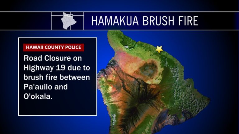 Brush Fire Closes Highway On Hamakua Coast