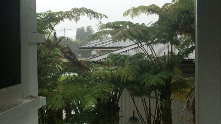 Remnants Of Tropical Storm Greg Bring Rain, High Humidity