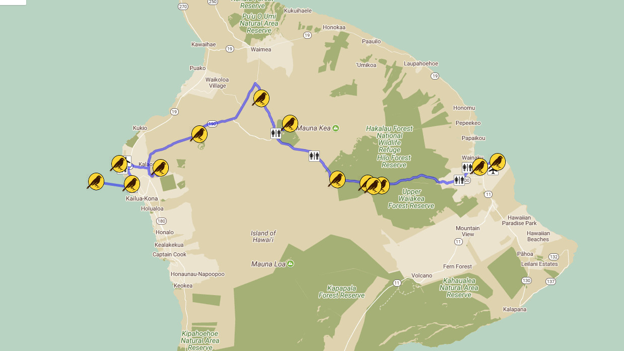 VIDEO: New Birding Trail, Website Launched During Festival