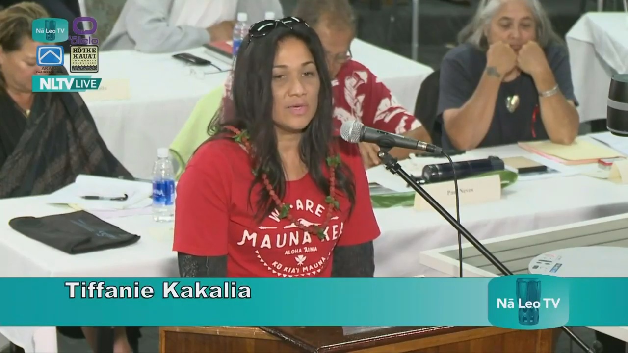 VIDEO: Tiffnie Kakalia Final Argument In TMT Case