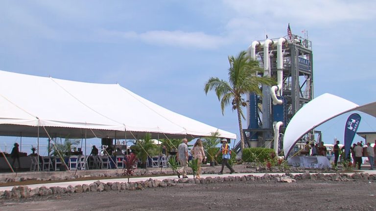 NELHA Companies Get $1.5 Million To Harness “Power of Seaweed”