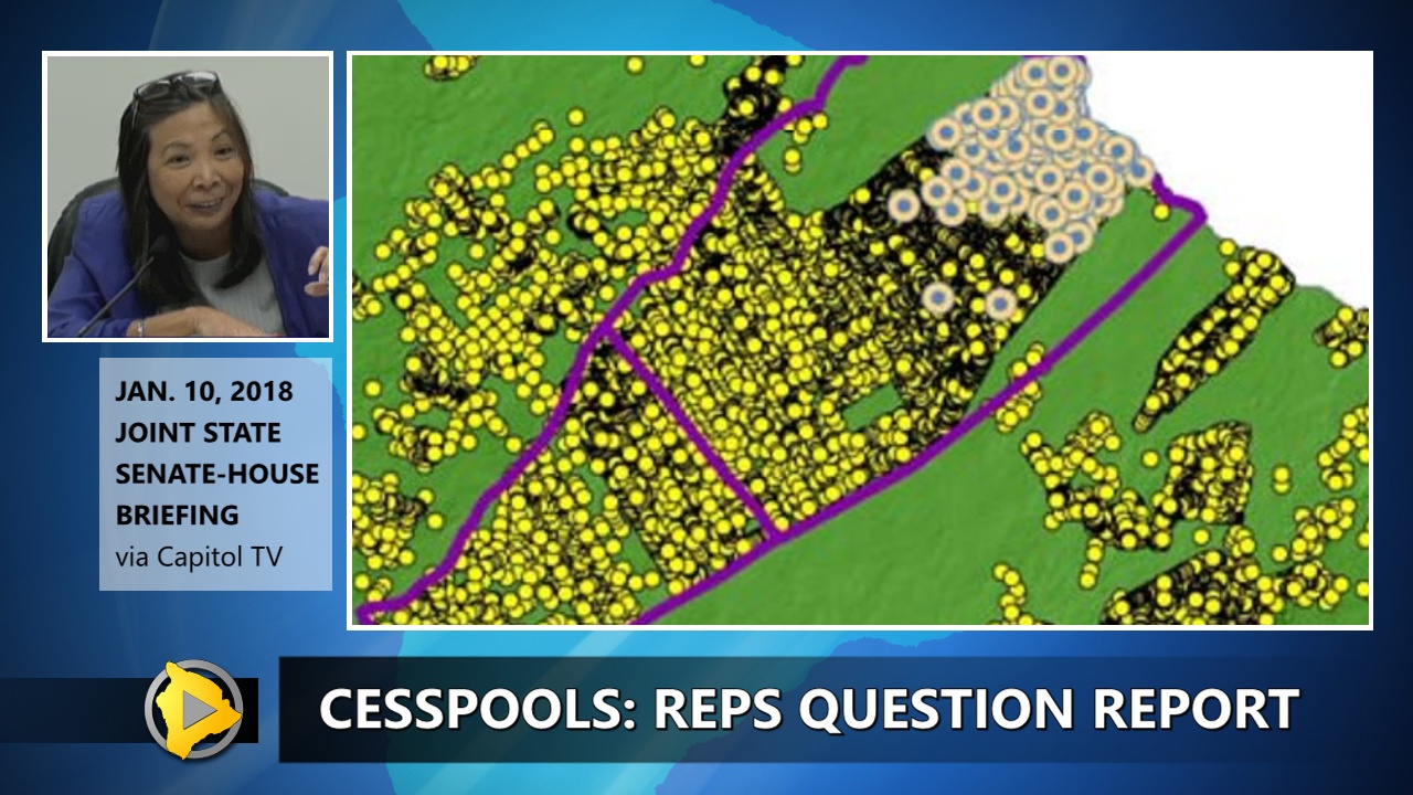 VIDEO: Hawaii Cesspool Report Presented To Lawmakers
