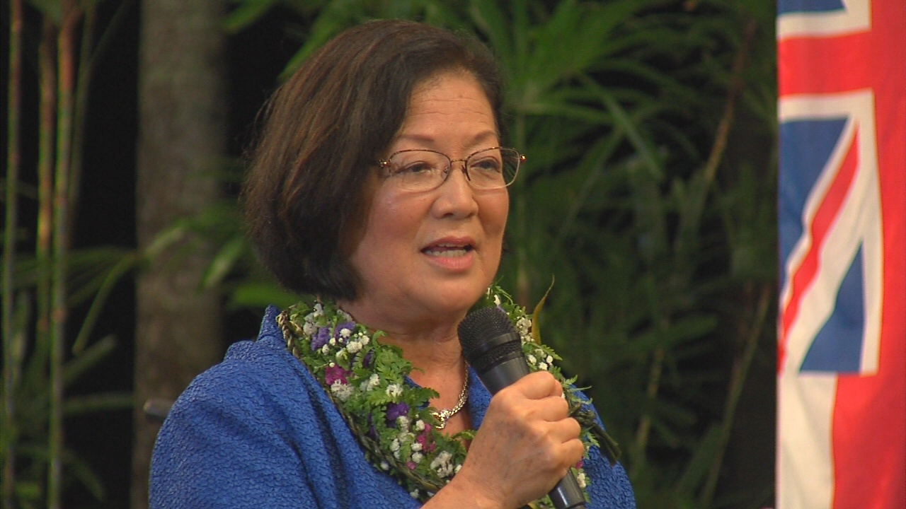 VIDEO: At Rally, Hawaii Democrats Focus On National Midterm Elections