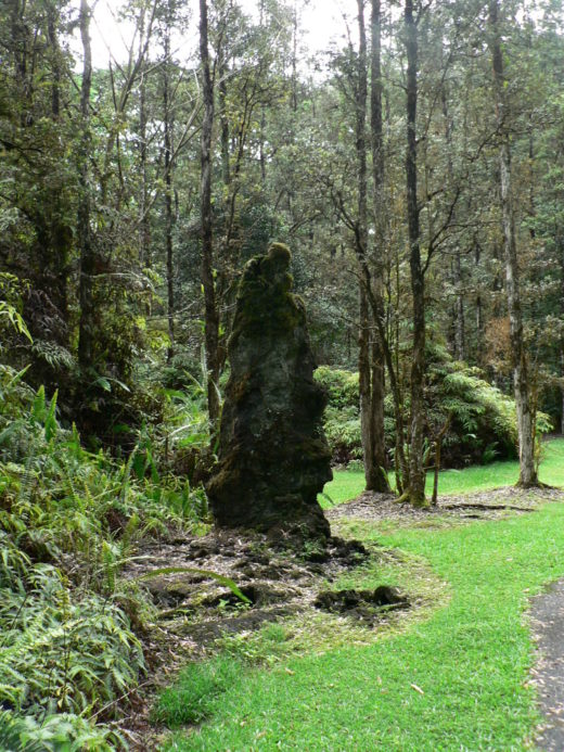 Lava Tree State Monument Reopens Today