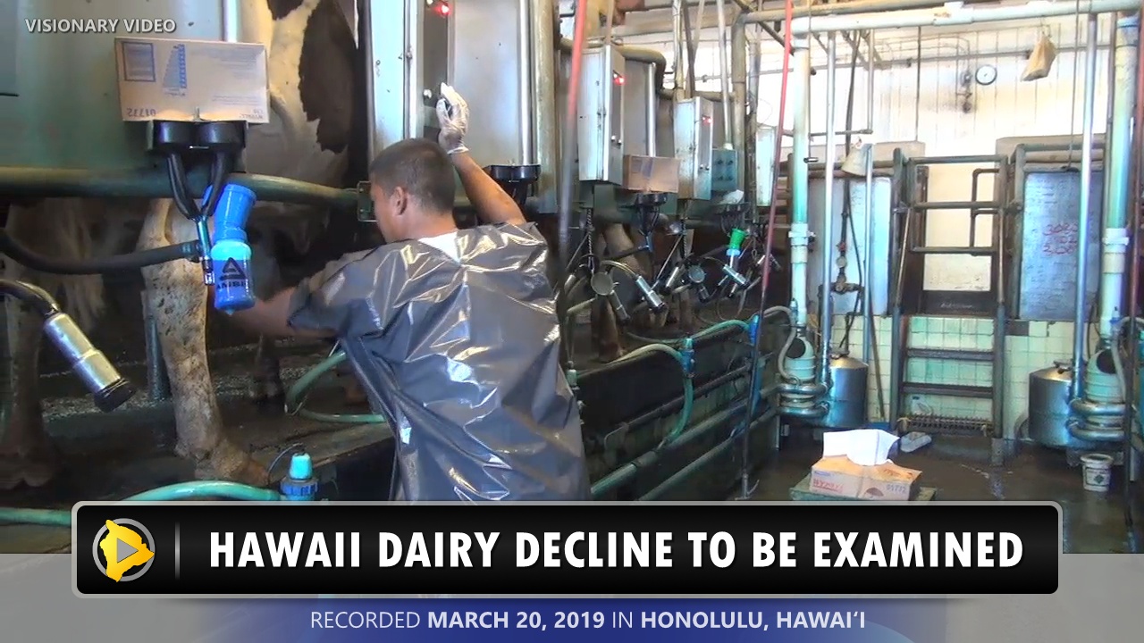 VIDEO: Senate Committee Votes To Examine Hawaii Dairy Decline