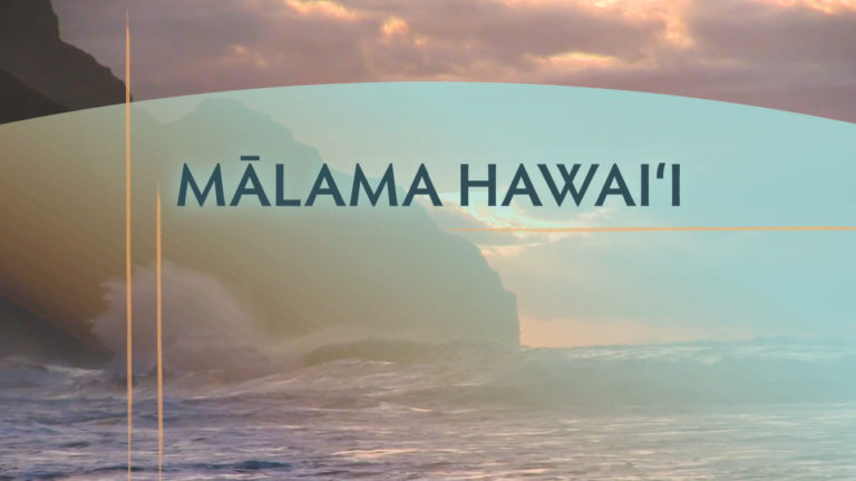 State Introduces Malama Hawaii Campaign