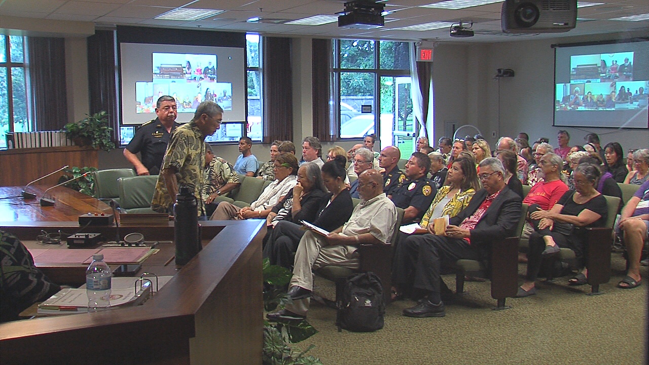 VIDEO: TMT Opponents Testify At County Council