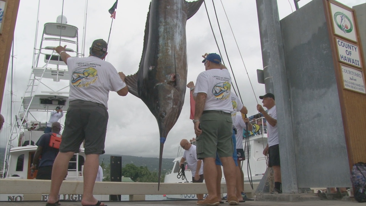 VIDEO: 60th Hawaiian International Billfish Tournament Held In Kona