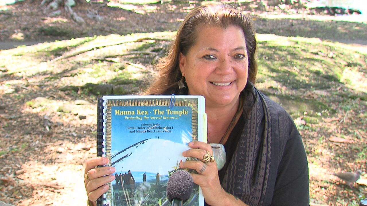 VIDEO: Critical Of Mayor’s “Way Forward”, TMT Opponents Have Their Own ...