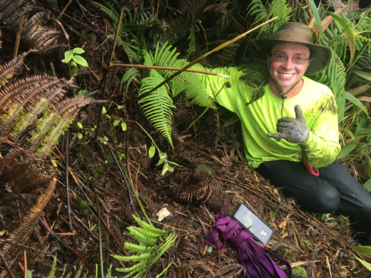 Hawaiian Petrel Colony Discovered On Kohala Mountain