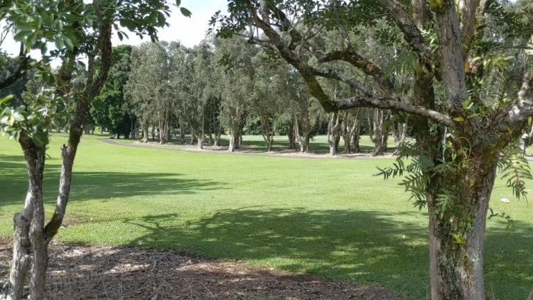 Hilo Muni Golf Course Reopening With Some New Rules