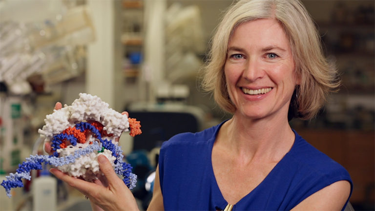 Hilo Grad Jennifer Doudna Wins 2020 Nobel Prize In Chemistry – Big ...