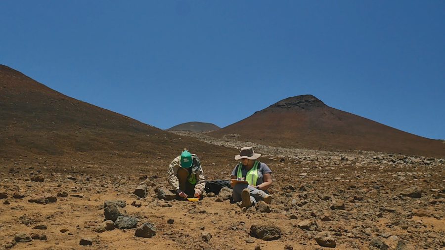Wēkiu Bugs Increase On Maunakea, Researchers Say