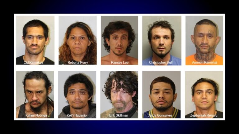 Warrant Sweep Results In 10 Arrests In Puna