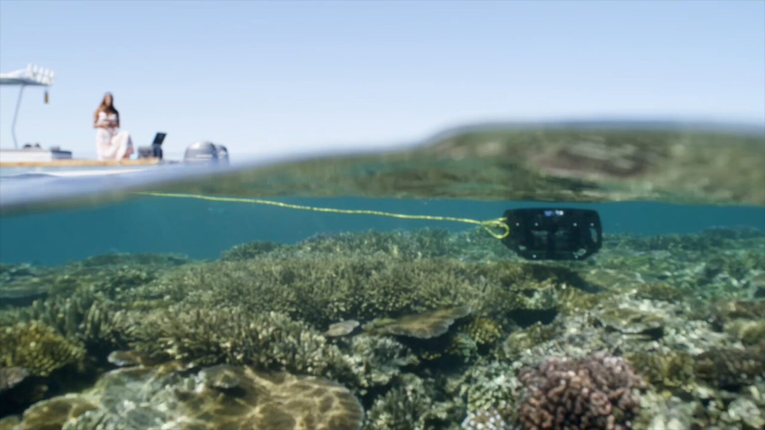 Hilo MEGA Lab Helps Surfing Scientists Research Reefs
