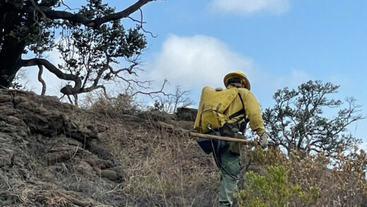 Wildfire In Hawaiʻi Volcanoes National Park 100% Contained