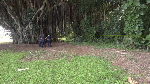 Body Burned In Banyan Tree Fire Identified By Police