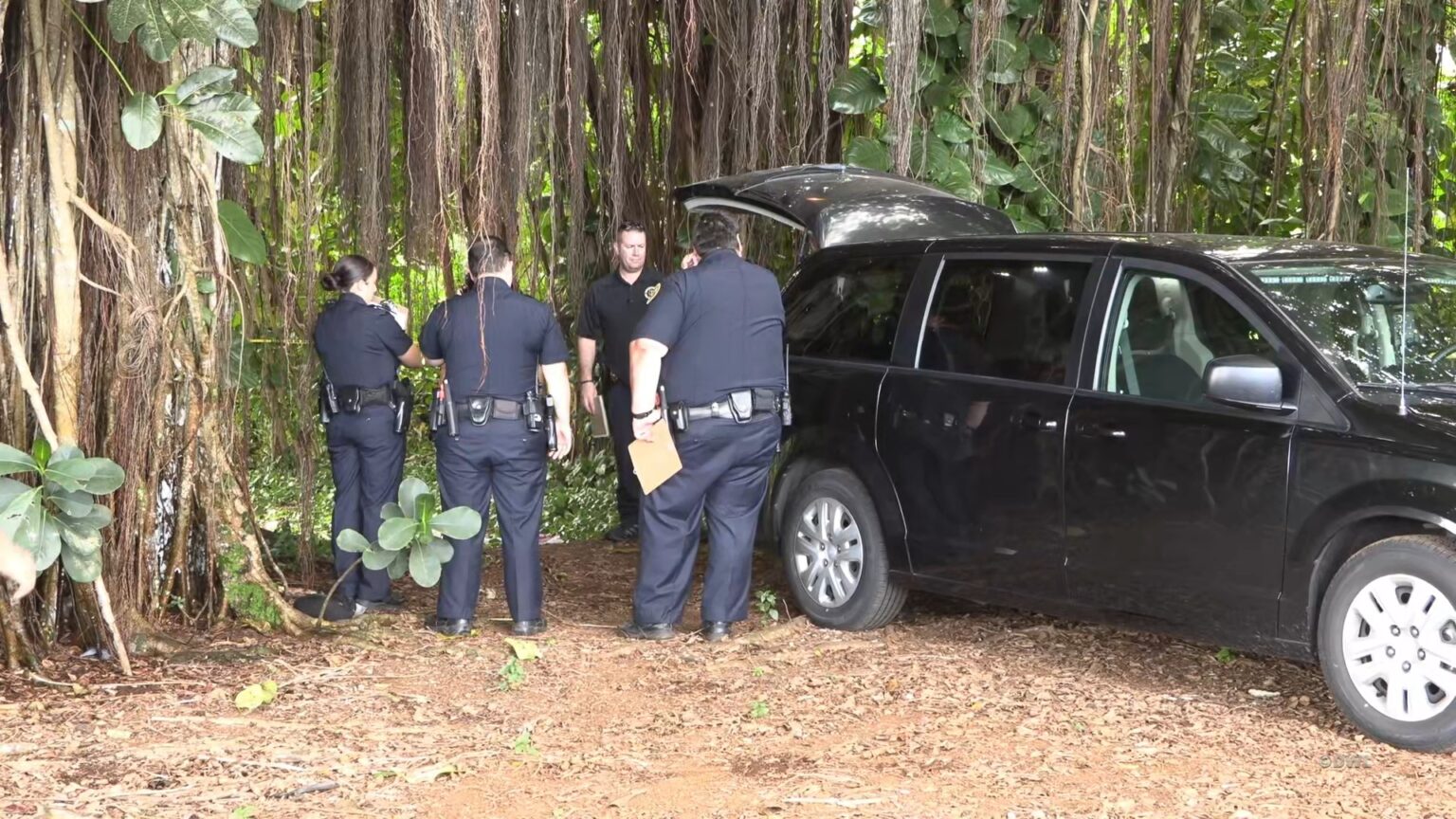 Body Burned In Banyan Tree Fire Identified By Police