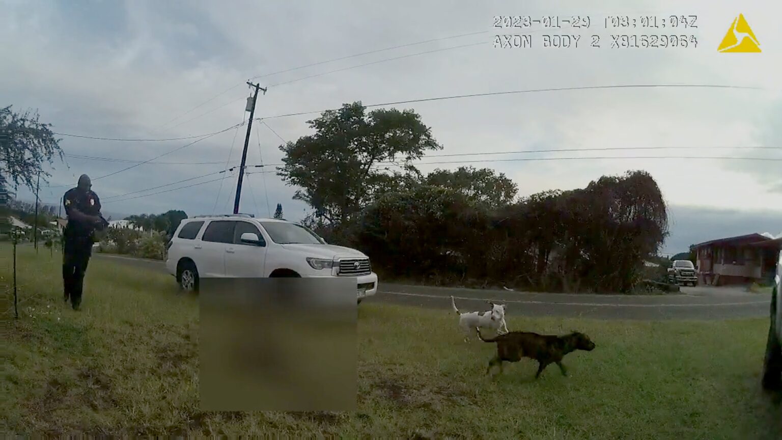 Police Body Cam Video Shows Pahala Dog Shooting Police Body Cam Video Shows Pahala Dog Shooting