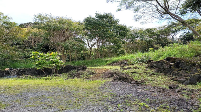 Hawaiʻi Council Eyes Historic 88 Temples Walk In Kona – Big Island ...