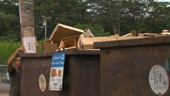 $1.5 Million EPA Grant To Boost Hilo Recycling Infrastructure – Big ...