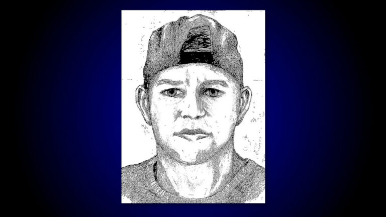 Police Sketch Depicts Suspect In Hilo Assault