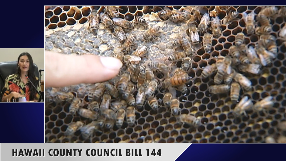 Hawaiʻi Island Beekeeping To Expand Under New Council Bill