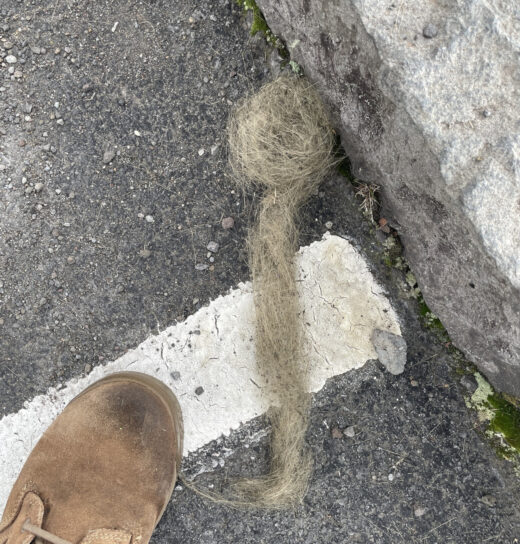 VOLCANO WATCH: Kīlauea Lava Fountains Create Pele’s Hair Hazard