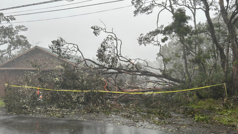 Hawaiʻi Island Storm Recovery Update – Big Island Video News