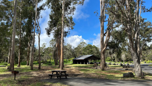 Tent Camping Returns to Nāmakanipaio in Hawaiʻi Volcanoes National Park ...